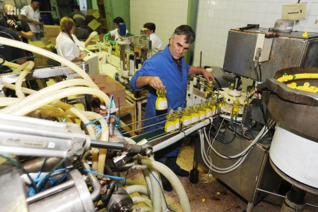 Privreda Tuzlanskog kantona bilježi određene oscilacije